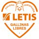 Inicio - LETIS S.A.